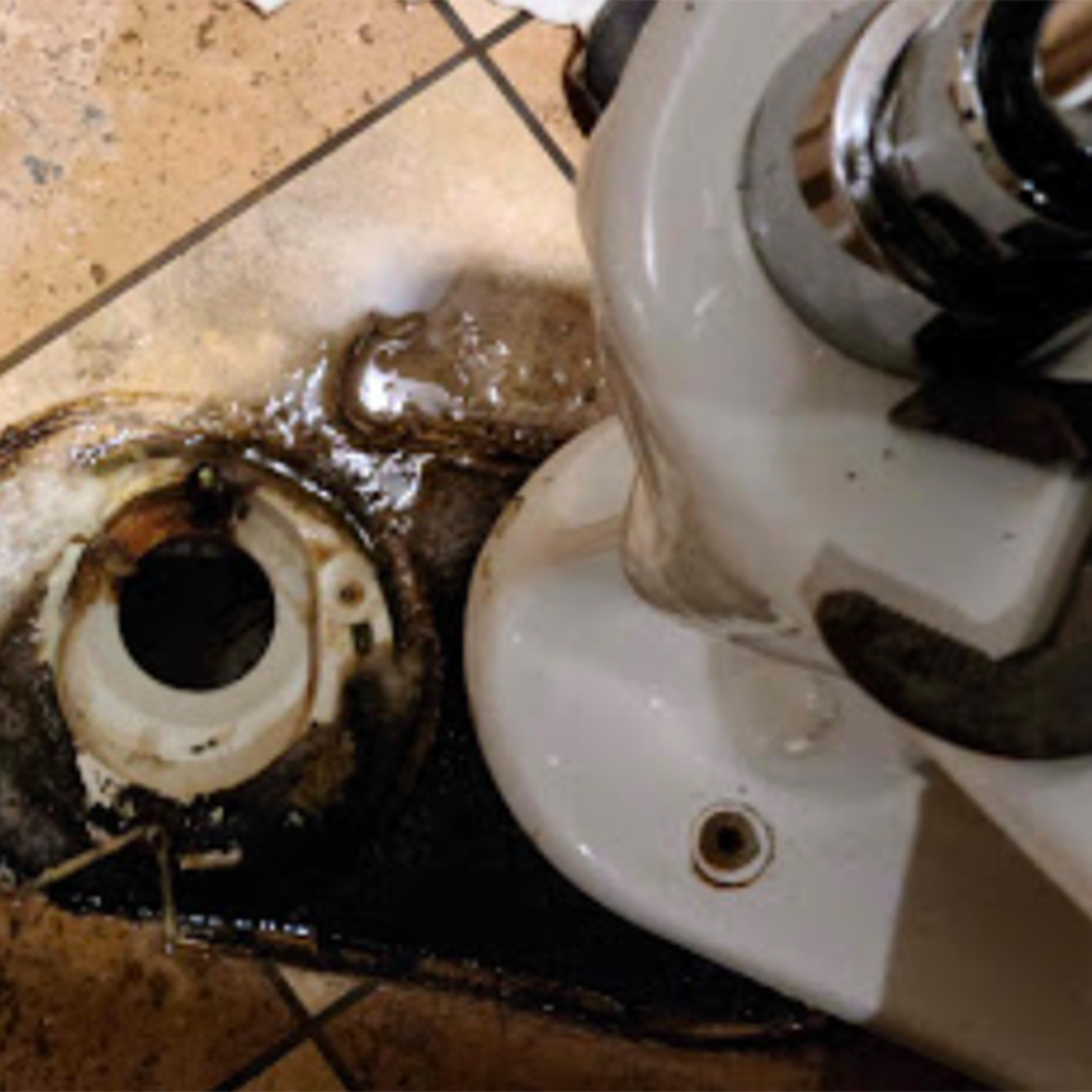 Plumbers | Fort Collins, CO | Evans Rooter Service